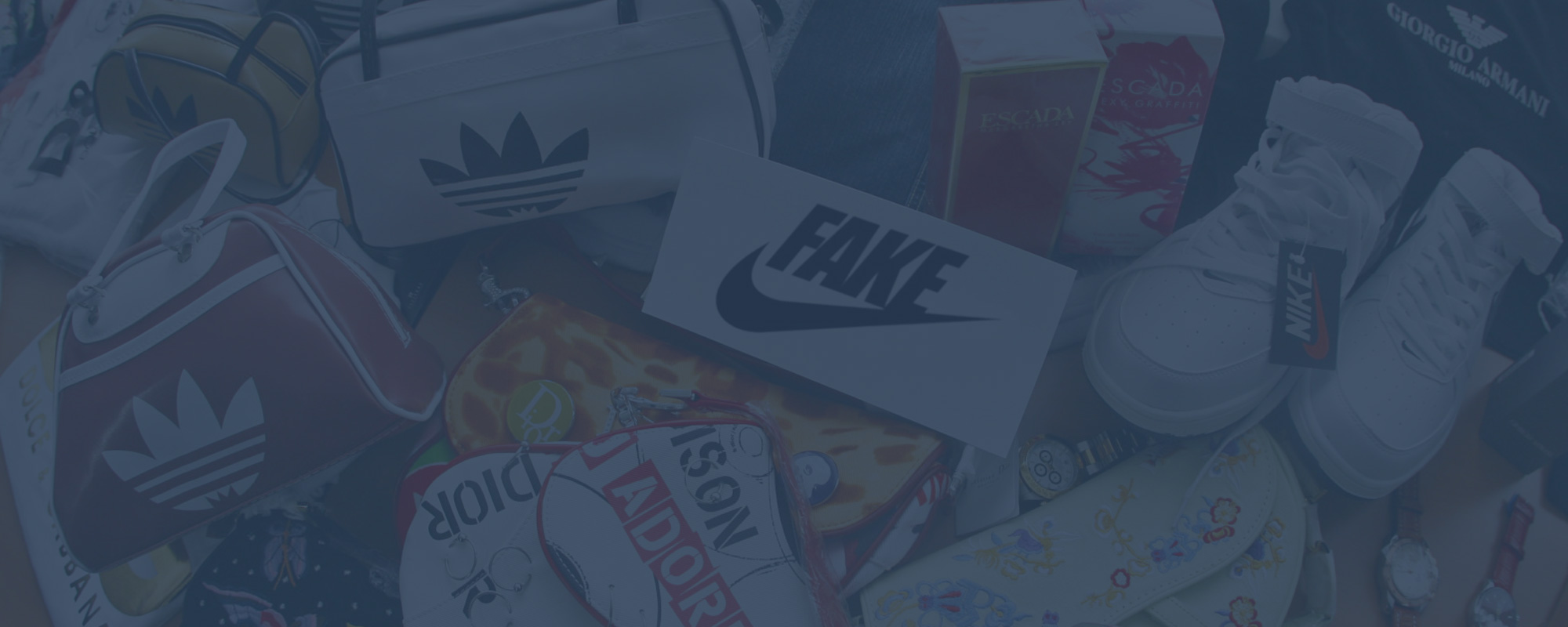 Brand Protection against counterfeit and pirated goods