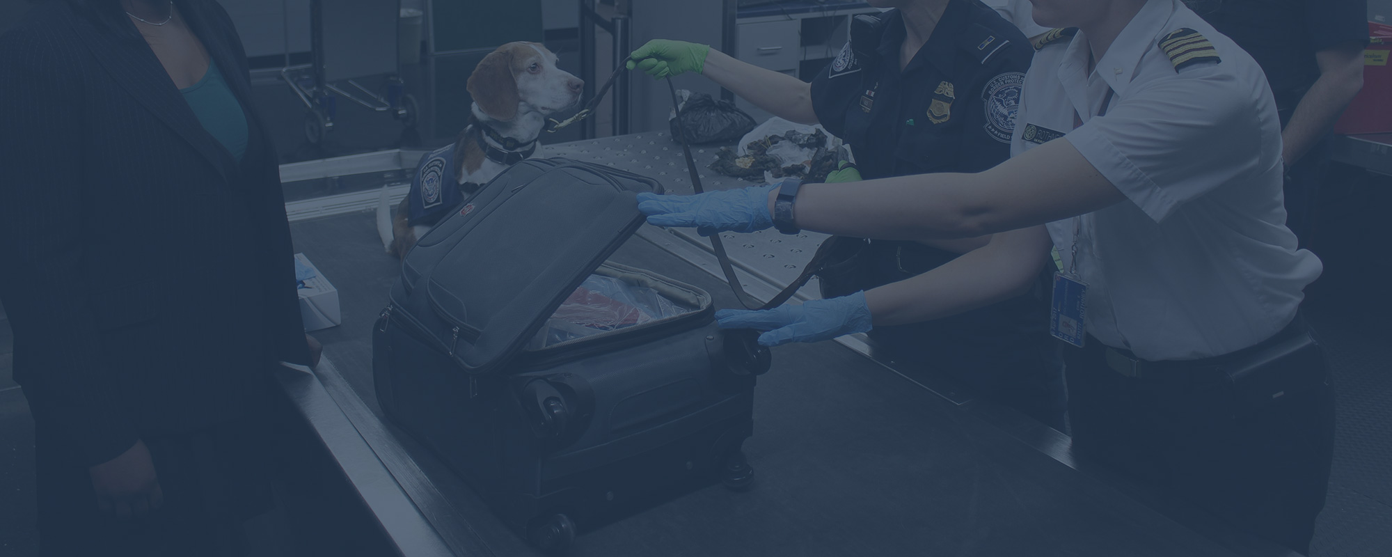 Impact of Customs Private Sector - Global Customs Compliance Consultants